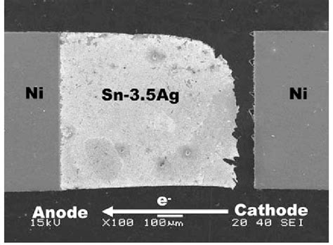 Sem Images Showing Fracture In The Ni Sn 3 5ag Ni Joint After Aging At