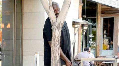 You Need To See This Pic Of Shaq Trying To Hide Behind A Tree Us Weekly