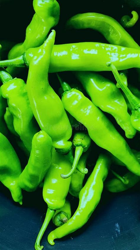 Long Chilly Green Stock Image Image Of Chill Yellow 252619687