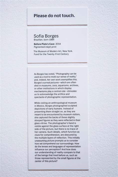 The New Photography 2018 Moma Sofia Borges