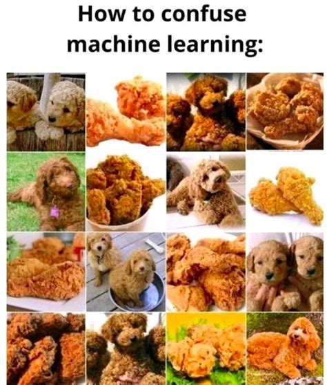 How To Confuse Machine Learning Analytics Vidhya Facebook