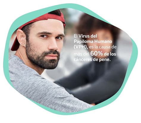 Infografías De Vph Infovph Cl