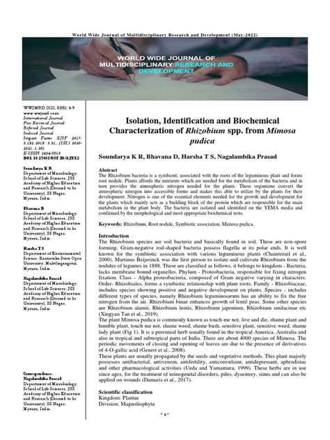 Isolation Identification And Biochemical Characterization Of Rhizobium Spp From Mimosa Pudica