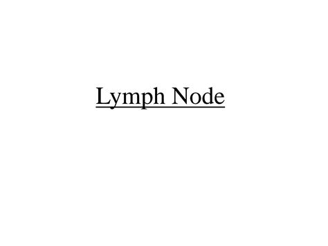 Solution 2 Microscopic Structure Of Lymph Node Spleen Thymus And