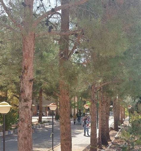 آغاز پذیرش و اسکان دانشجویان در کلیه خوابگاه های دانشجویی دانشگاه سمنان