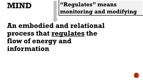 Series 3 The 9 Functions Of The Prefrontal Cortex In Interpersonal