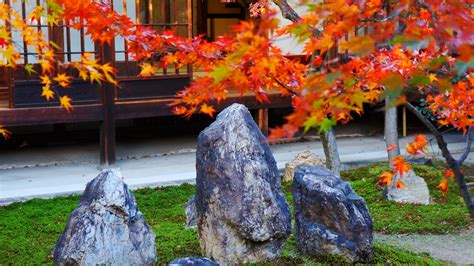 京都 建仁寺 紅葉 晩秋の美しい彩り 京都もよう KYOTO MOYOU