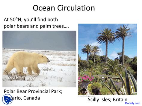 Ocean Circulation Introduction To Oceanography Lecture Slides Docsity