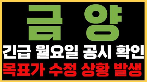 금양 긴급 월요일 공시 확인 하세요 목표가 수정 상황 발생 2차전지배터리테슬라신재생4695금양주식엔솔양산