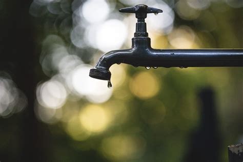 La última Moda Peligrosa Para La Salud Se Llama Agua Cruda Y Ya Está