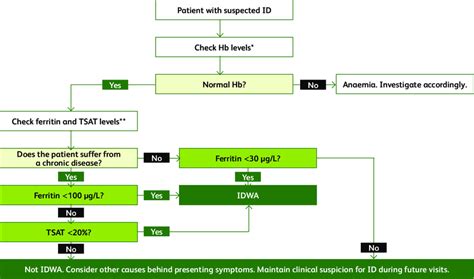 An Algorithm For The Diagnosis Of Iron Deficiency Based On The Best Download Scientific Diagram