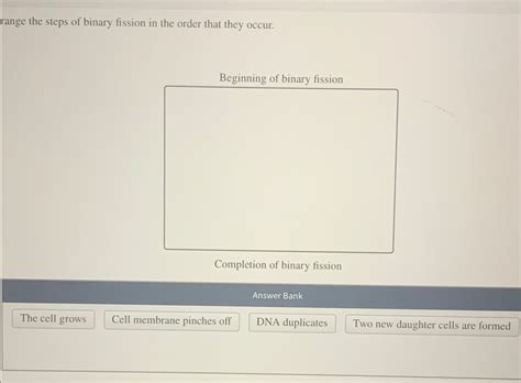 solved range the steps of binary fission in the order that