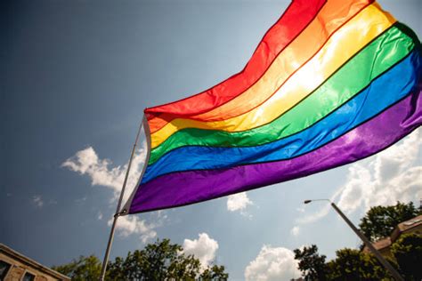 206100개 이상의 Lgbtqia 문화 이미지 스톡 사진 그림 및 Royalty Free 이미지 Istock