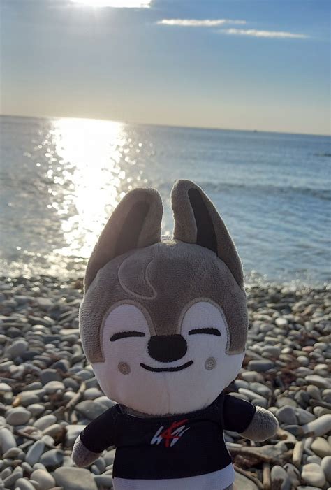 WolfChan🏖 en 2022