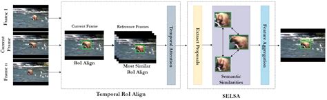 Attention Guided Disentangled Feature Aggregation For Video Object Detection
