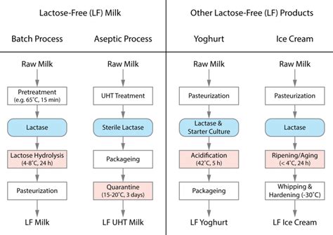 Processes For Producing Lactose Free Lf Products Left Panel