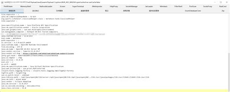 一种在高版本JDK下 的新型嵌入式Jetty Customizer内存马实现 白帽酱の博客