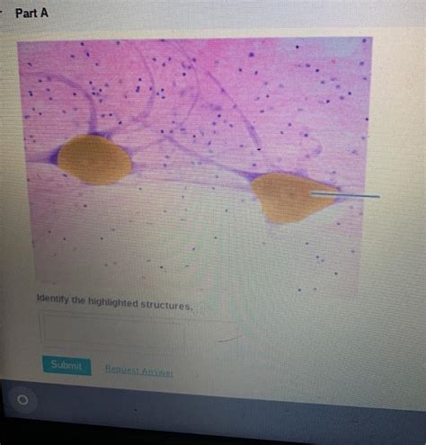 Solved Part A Identify The Highlighted Structures Submit