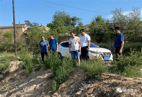 我为群众办实事通渭县常家河镇积极开展禁种铲毒踏查活动 宣传