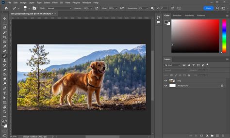 دانلود فتوشاپ برای کامپیوتر Adobe Photoshop 2025 مجله مایکت