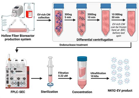 Video Scalable Biomanufacturing Workflow To Produce And Isolate