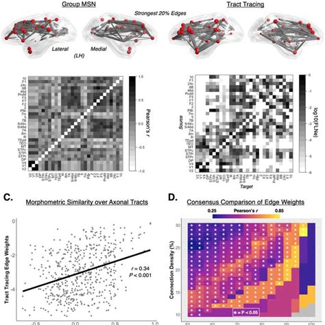 Comparison Of Morphometric Similarity Networks And Other Mri Networks Download Scientific