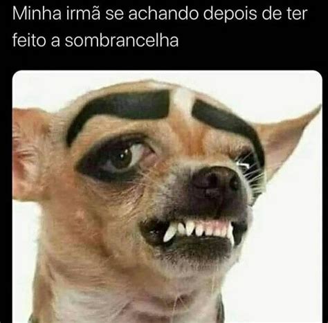 Pin De ᭓เ֟፝ꪀꪀꪋ𝆋ﻬ࿐ Em ᴬʟᴱᴀᵀóᴿɪᴼs Cães Feios Memes De Animais Fotos