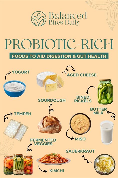 Probiotic Rich Foods To Aid Digestion And Gut Health Artofit