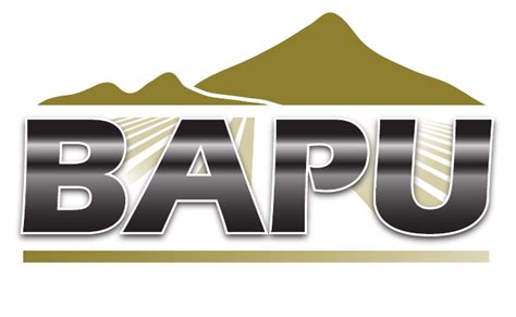 Bapu Company California Almonds And Farm Management