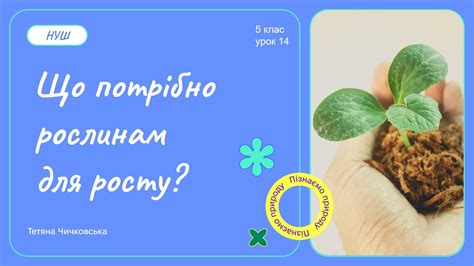 Що потрібно рослинам для росту? - YouTube