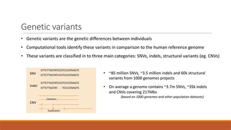 Exome Sequence Analysis Pdf