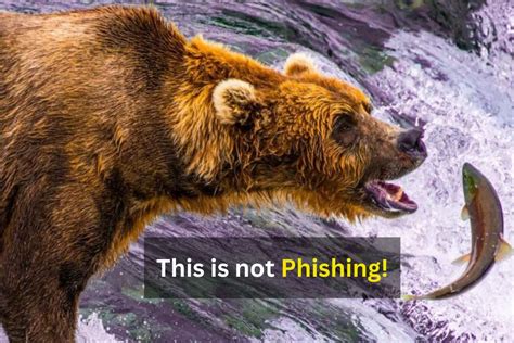 Security Cybersecurity Internet Technology Phishing Mutha Nagavamsi