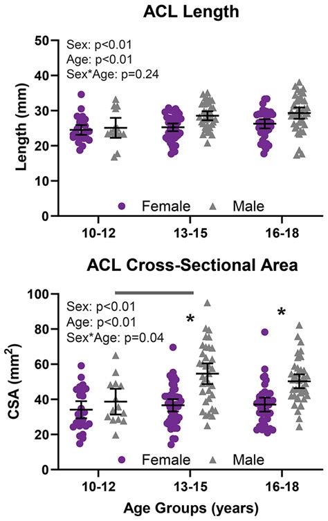 Age And Sex Specific Differences In ACL And ACL Bundle Size During Adolescent Growth PMC