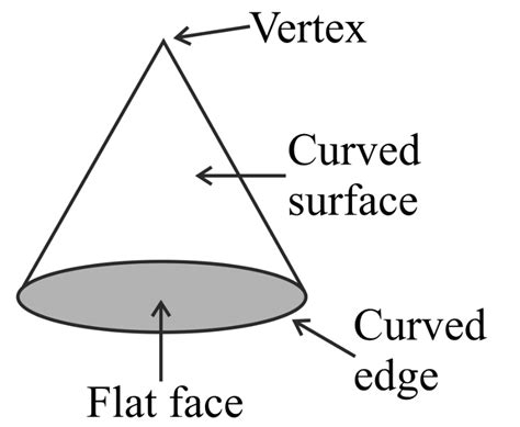 Name Two Objects That We See Around Us In The Form Of A Cone