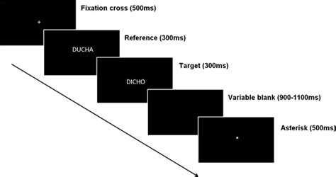 Schematic Representation Of An Experimental Trial Download Scientific