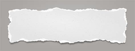 찢어진 부드러운 그림자와 흰색 사실적인 거친 수평 종이 스트립의 조각은 회색 배경에 벡터 일러스트레이션 종이에 대한 스톡 벡터