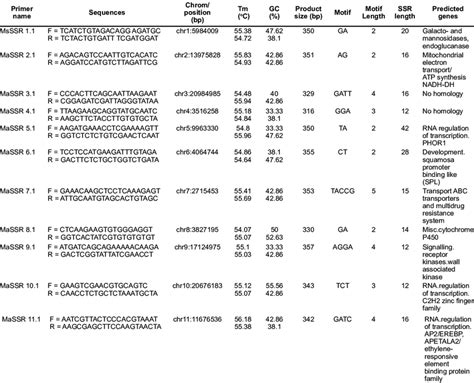 List Of Newly Developed Ssr Primers Their Sequences And Detailed