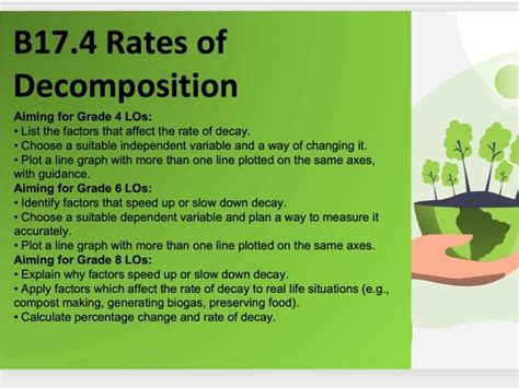 B174 Rates Of Decomposition Teaching Resources