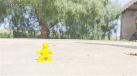 Flip Flop Clips4sale