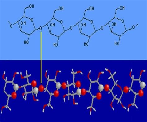 Molecular Structure Of Cellulose Download Scientific Diagram