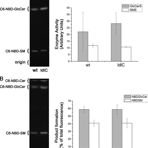 Schematic Architectural Representation Of Mammalian COG Complex COG Is Download Scientific