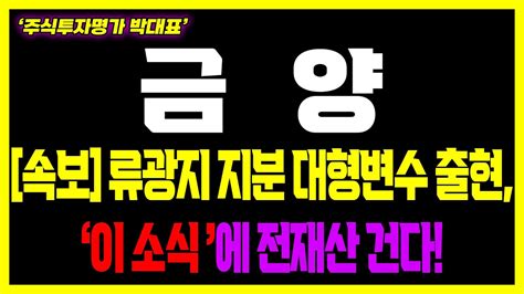 금양 초거대세력 10월 추가 매집 진행중 충격적 매수 이유 공개 금양금양 주가전망lg에너지솔루션 에스엠랩 몽골리튬광산 발포제 수산화리튬 원통형배터리