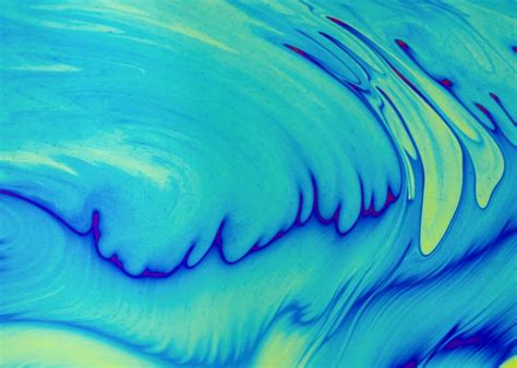 Enzyme Assisted Extraction Extraction Magazine