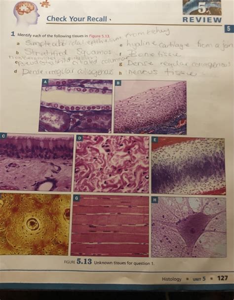 Solved Check Your Recall Review 5 1 Identify Each Of The