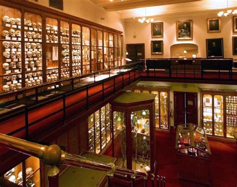 Mutter Museum Philadelphia Pennsylvania United States Mutter