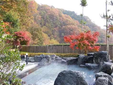 大子温泉保養センター 森林の温泉 観光いばらき公式ホームページ