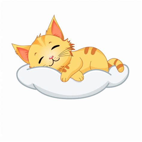 Animated Cat S