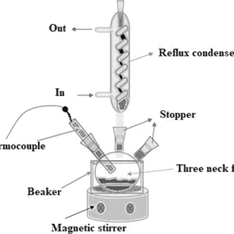 Schematic Illustration Of The Three Necked Round Bottom Flask [26] Download Scientific Diagram