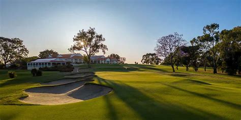 Tree Off At Mt Lawley Golf Club Clubtic