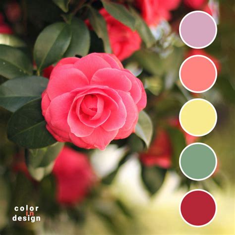 Сочетание цветов сиена серо желтый золотой